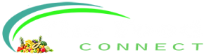 The Food Connect - Get Healthy Diet Tips